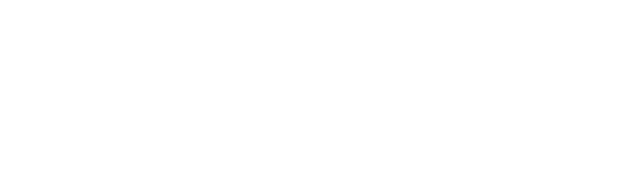 WP: SAP DSD & LMD Using S/4 HANA Transportation Management